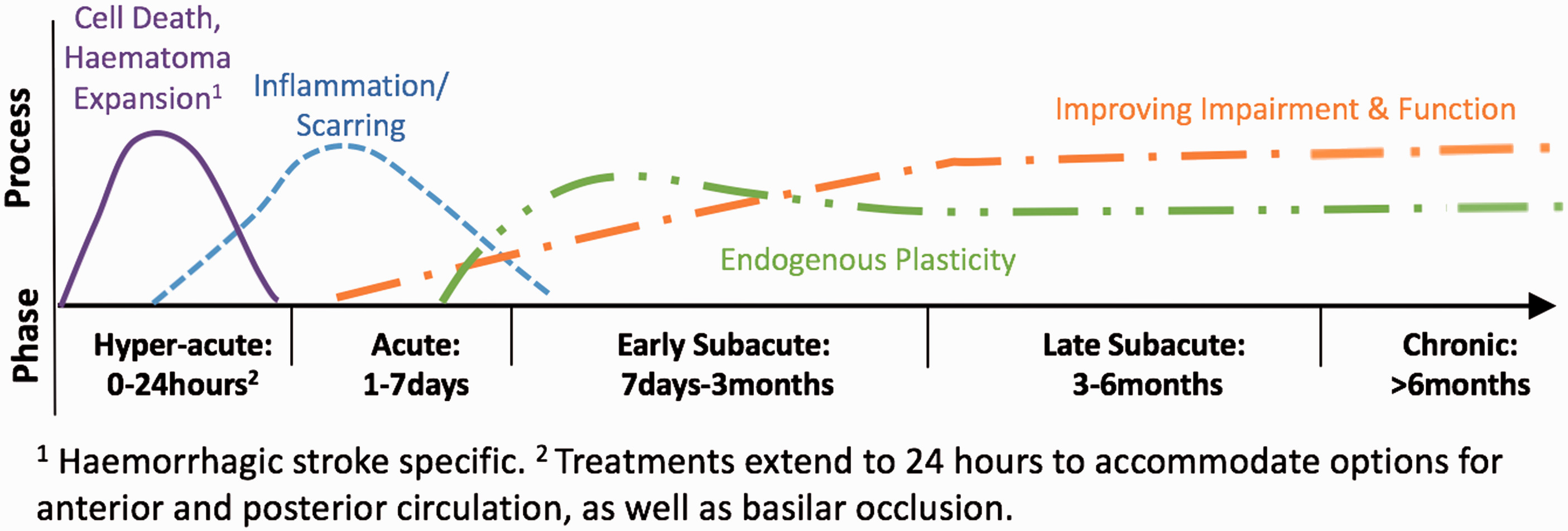The Phases of Stroke & The Unique Importance of the Subacute Phase